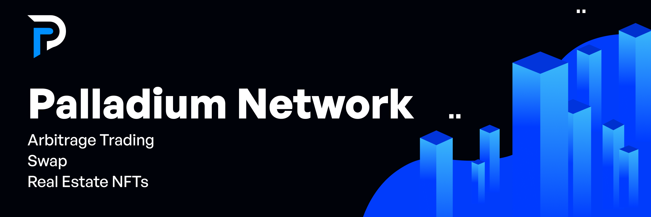 Privacy Policy | Palladium Network | Powerful Web3 Ecosystem